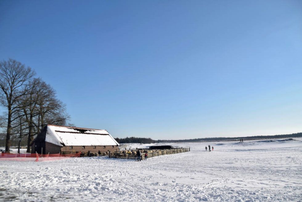 Wandeling op de Ginkelse heide en de Sysselt in de winter - Grijsopreis.nl