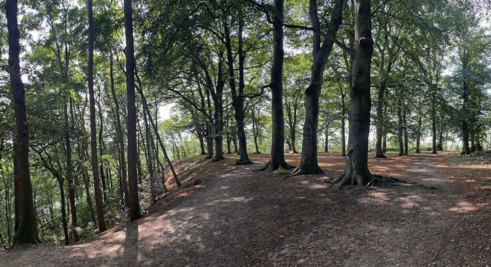 Ongekend mooie bergwandeling bij Rhenen - Grijsopreis.nl