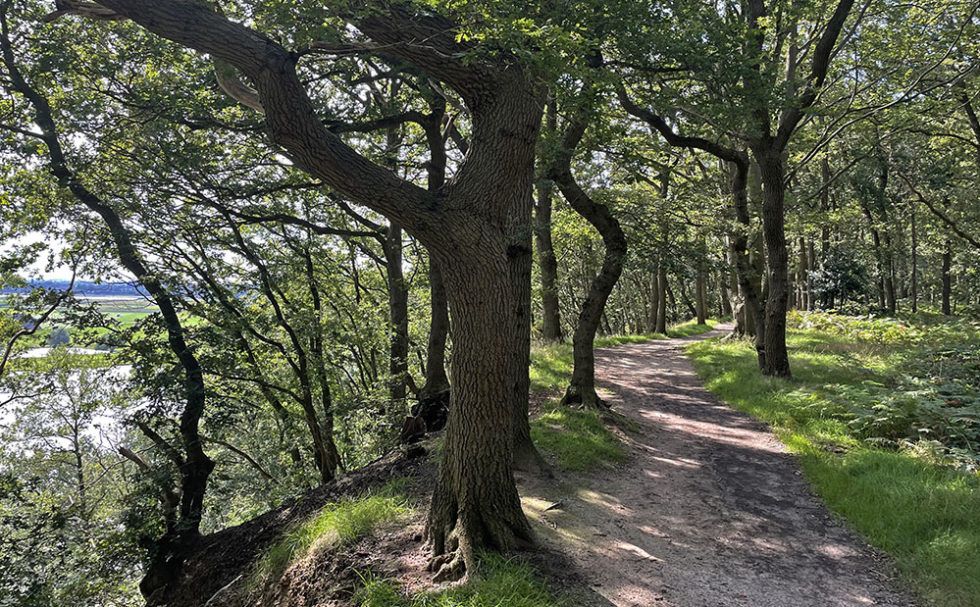 Ongekend mooie bergwandeling bij Rhenen - Grijsopreis.nl