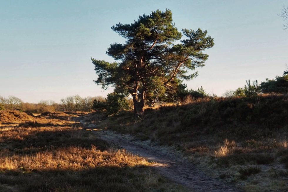 Museumdorp Orvelte, dit zijn alle bezienswaardigheden - Grijsopreis.nl