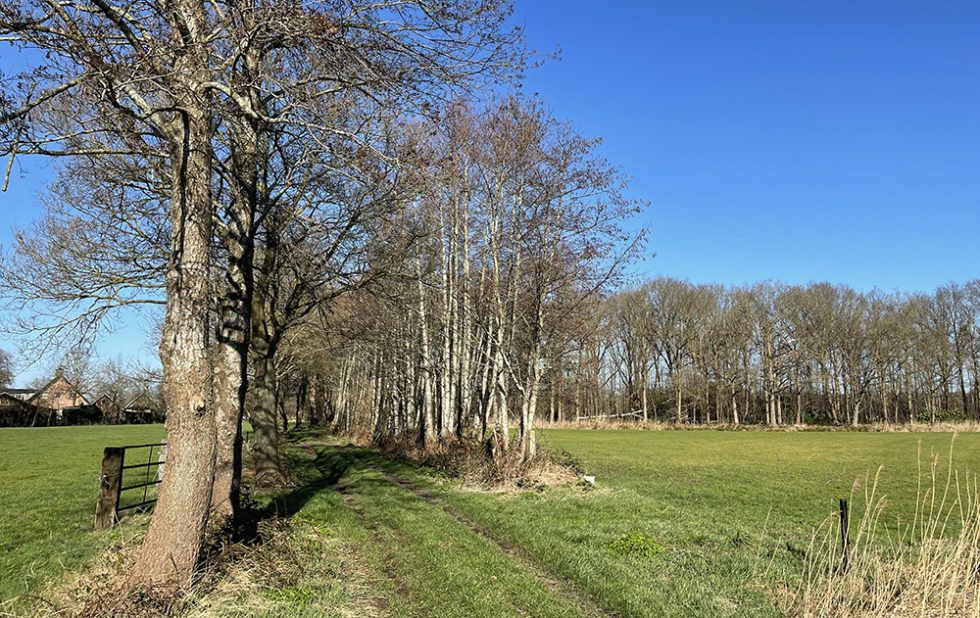 Onvervalst heerlijke wandeling bij het landelijke Achterveld ...