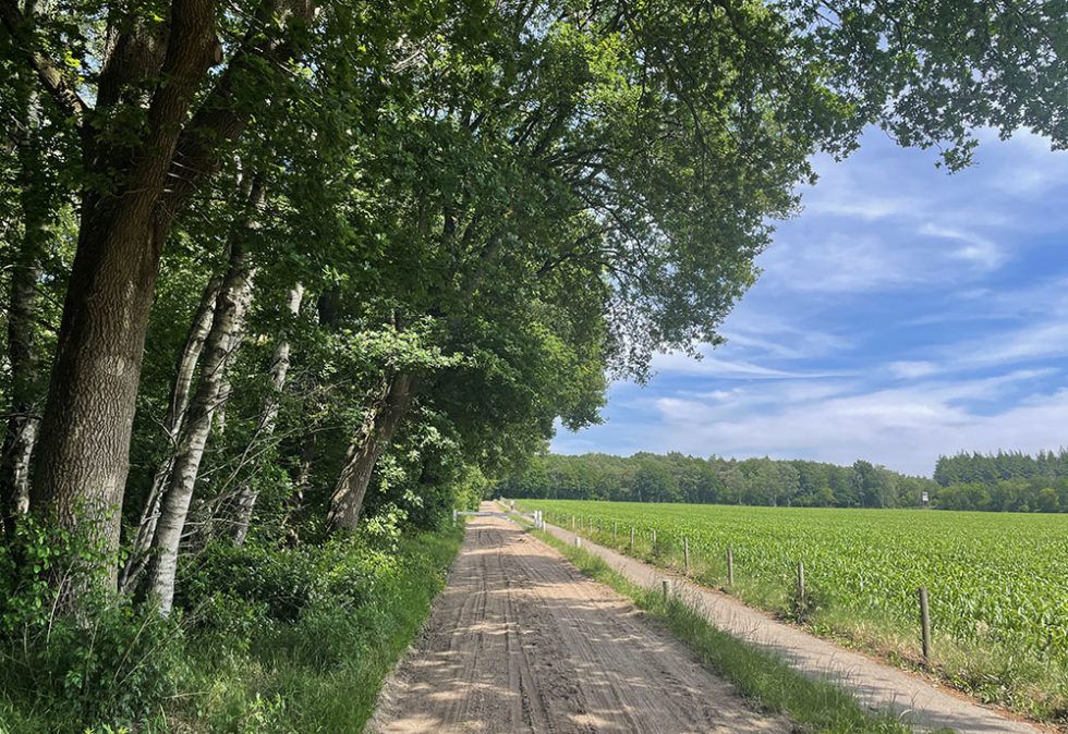 Prachtige wandeling bij Lunteren, het Middelpunt van Nederland ...