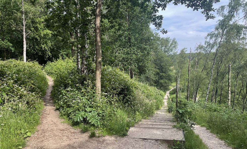 Prachtige wandeling bij Lunteren, het Middelpunt van Nederland ...