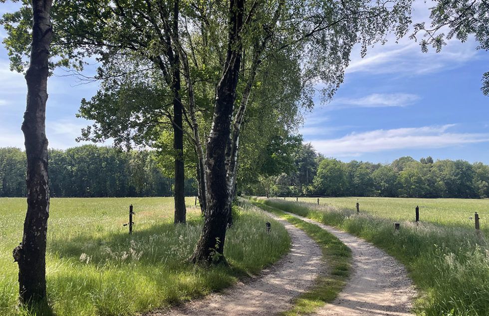 Prachtige wandeling bij Lunteren, het Middelpunt van Nederland ...