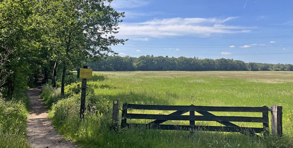 Prachtige wandeling bij Lunteren, het Middelpunt van Nederland ...