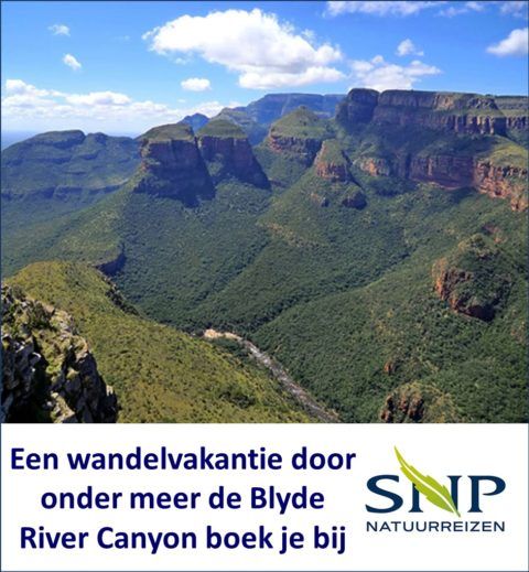 Blyde River Canyon: spectaculair hoogtepunt in Zuid-Afrika - Grijsopreis.nl