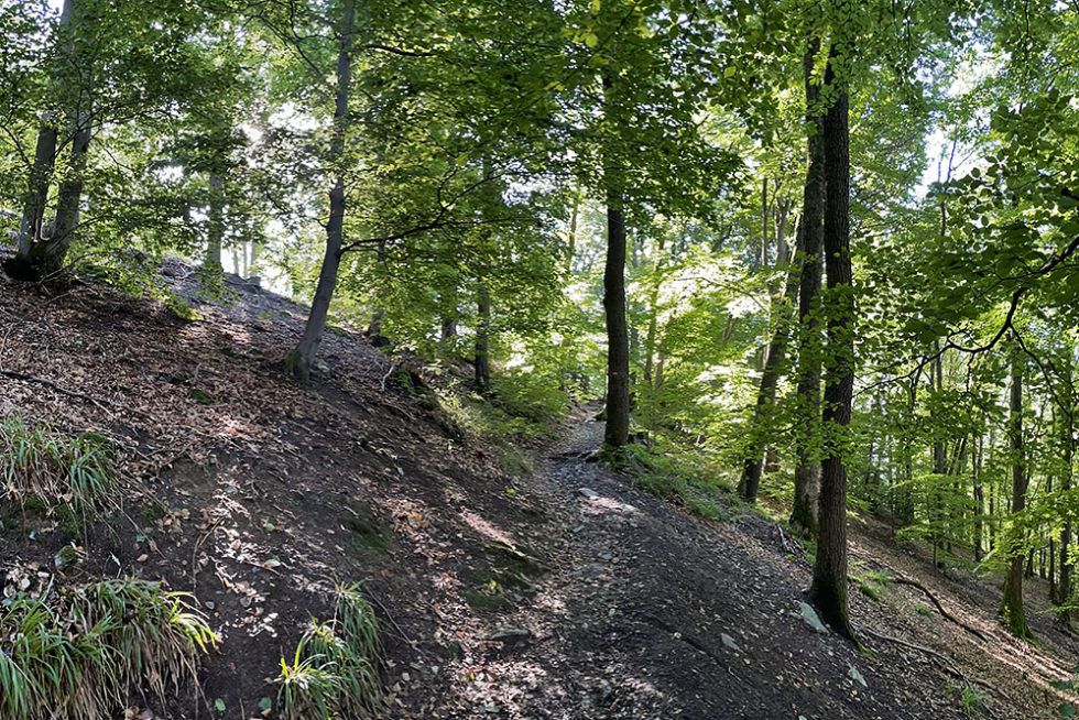 Leuke, korte wandeling bij de watervallen van Coo - Grijsopreis.nl