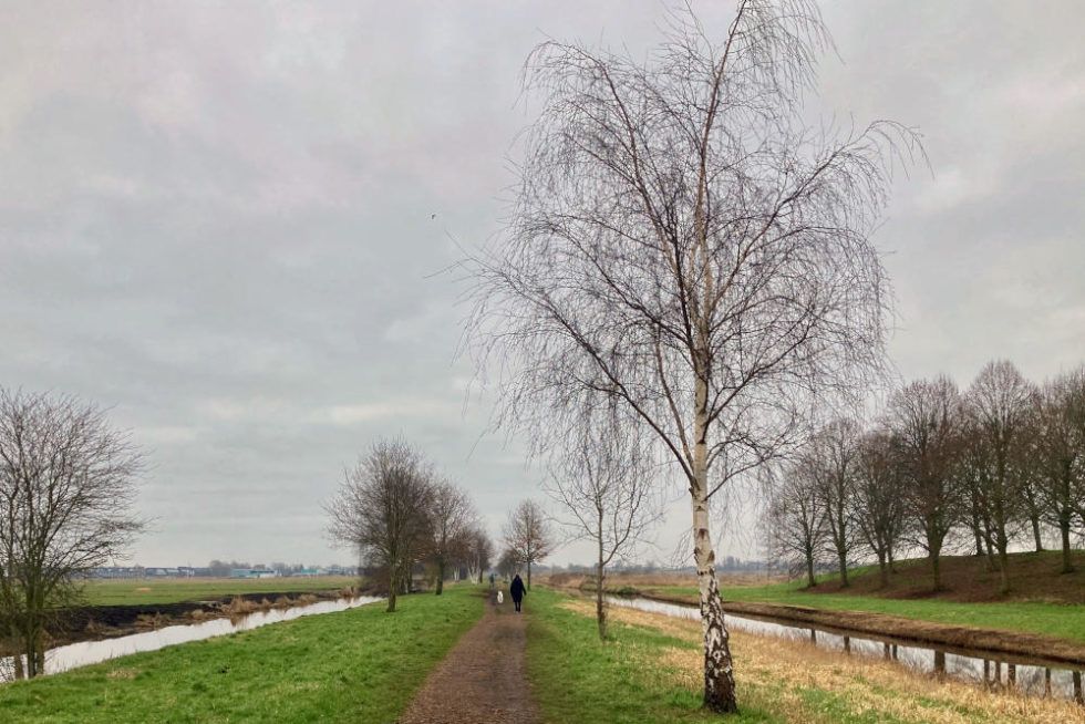Trage Tocht Wilnis door Hollands veenlandschap - Grijsopreis.nl
