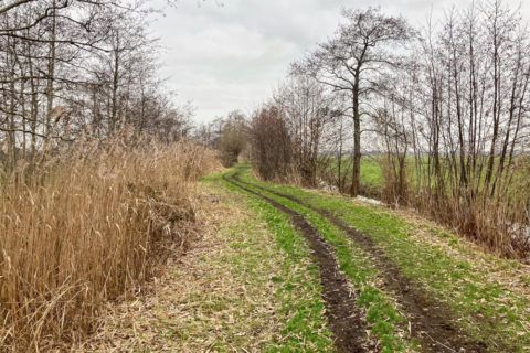 Trage Tocht Wilnis door Hollands veenlandschap - Grijsopreis.nl