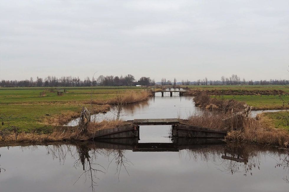 Trage Tocht Wilnis door Hollands veenlandschap - Grijsopreis.nl