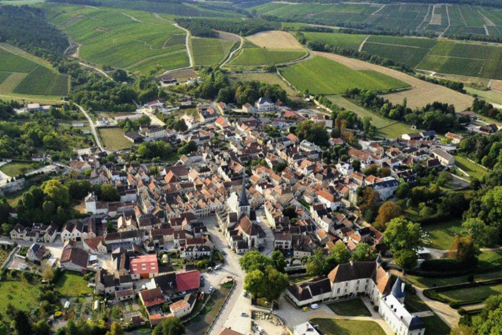 Hoogtepunten van champagnegebied Côte des Bar - Grijsopreis.nl
