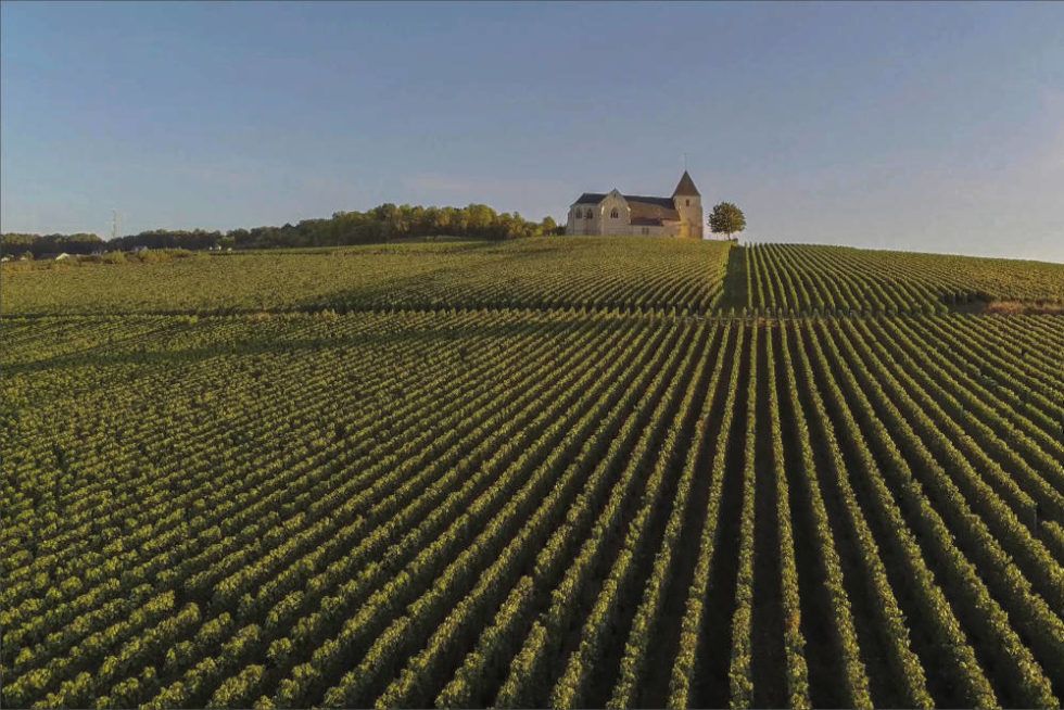 Hoogtepunten van champagnegebied Côte des Bar - Grijsopreis.nl