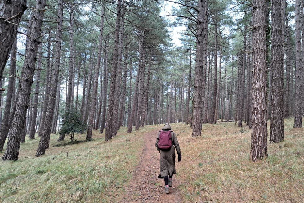 Trage Tocht Overveen - wandelen in NP Zuid-Kennemerland - Grijsopreis.nl