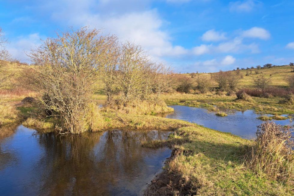 Trage Tocht Overveen - wandelen in NP Zuid-Kennemerland - Grijsopreis.nl