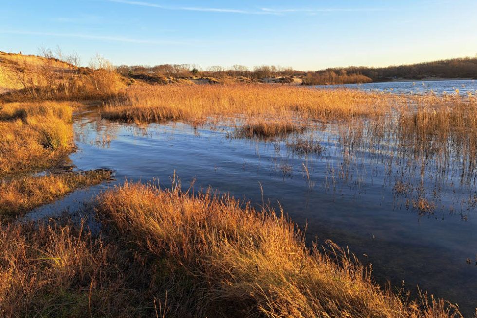 Trage Tocht Overveen - wandelen in NP Zuid-Kennemerland - Grijsopreis.nl