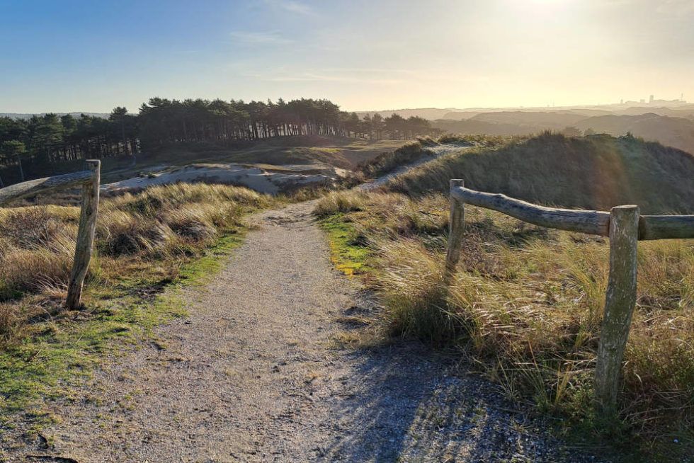 Trage Tocht Overveen - wandelen in NP Zuid-Kennemerland - Grijsopreis.nl