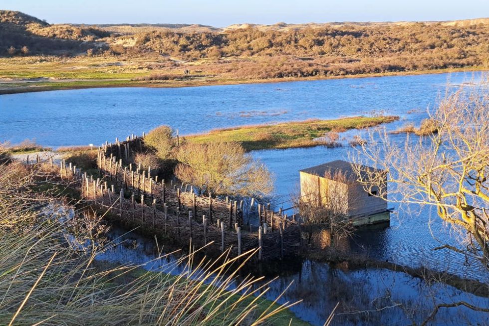 Trage Tocht Overveen - wandelen in NP Zuid-Kennemerland - Grijsopreis.nl