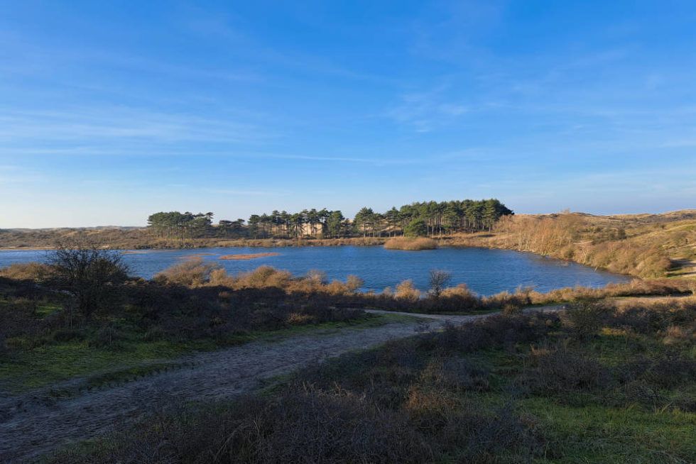 Trage Tocht Overveen - wandelen in NP Zuid-Kennemerland - Grijsopreis.nl