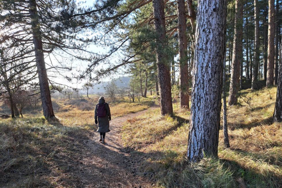 Trage Tocht Overveen - wandelen in NP Zuid-Kennemerland - Grijsopreis.nl