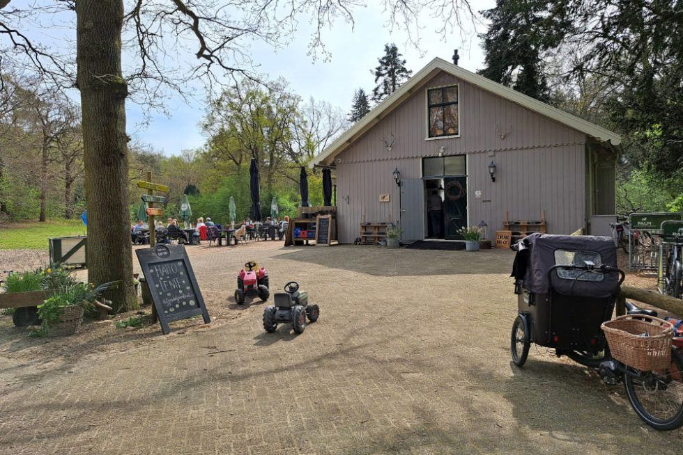 Bos, duin en strand bij Groene Wissel bij Castricum - Grijsopreis.nl