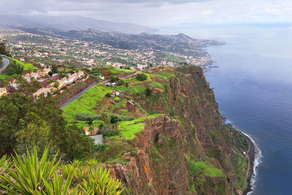 Madeira: het eiland waar natuur en cultuur samenkomen - Grijsopreis.nl