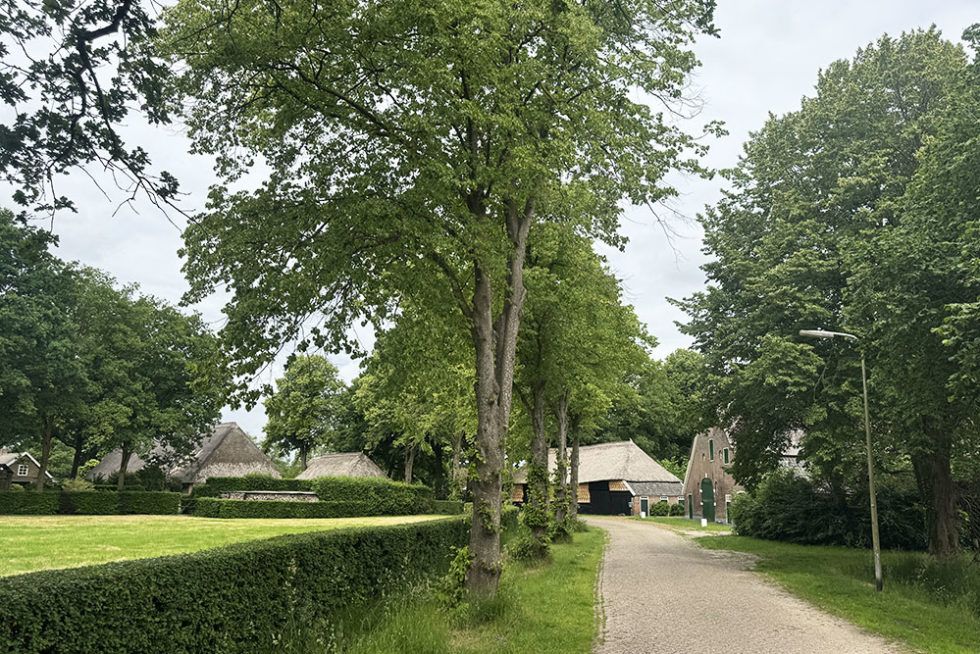 Etappe 9 van het Pieterpad - van Hardenberg naar Ommen - Grijsopreis.nl